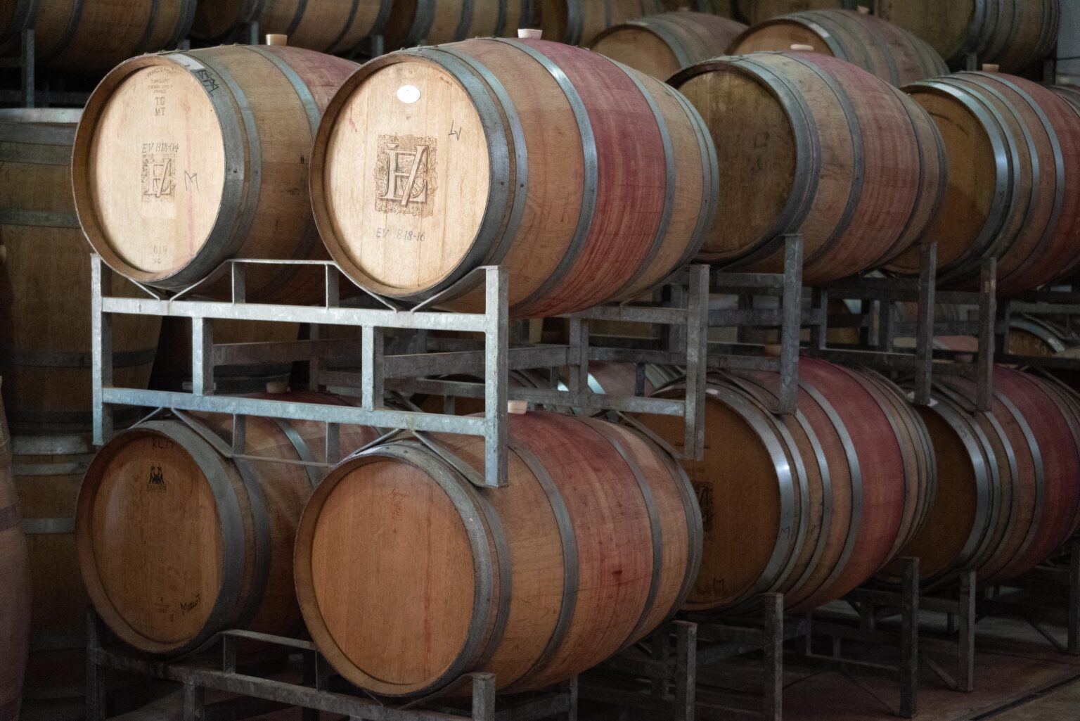 Elgin Vintners | Cool-Climate Wines in the Elgin Valley